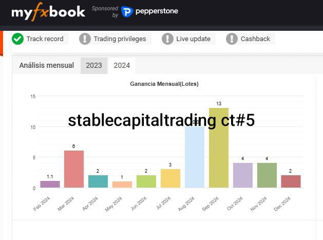 5. Guía Completa para Iniciar en el Trading – Stable Capital trading